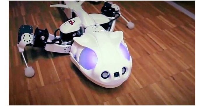 Pleurobot – the Salamander Robot That Scoots Along! - Super Cool Robots